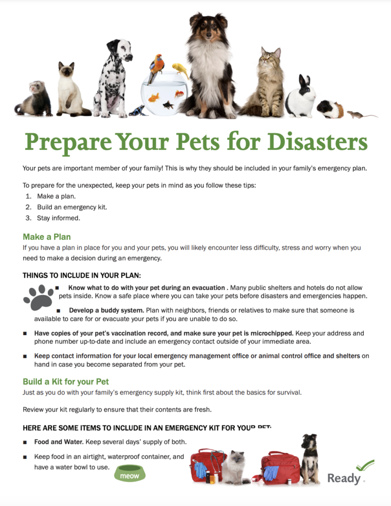 Resources - Prepare NOW